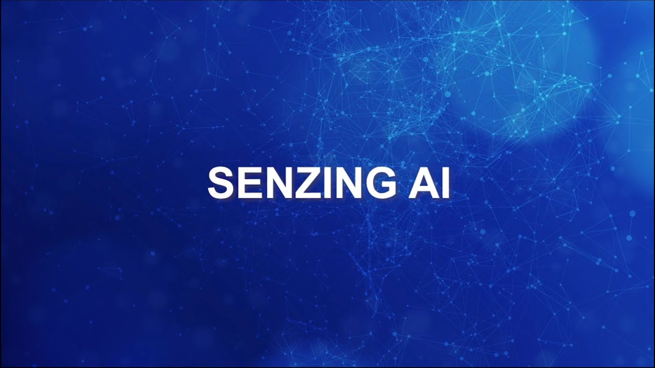 Senzing Entity Resolution SDK Pricing Information